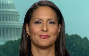 Karen Finney married, divorce, salary, affair, nationality, political