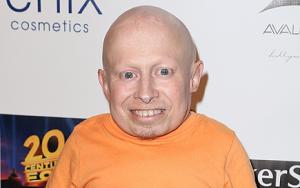 Verne Troyer biography, net worth, movies, dead, death, harry potter ...